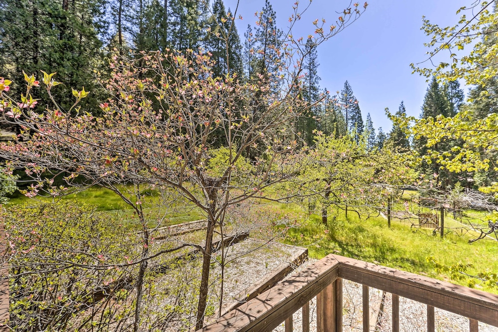 Vibrant Weaverville Escape W/ Deck & Creek! - Weaverville, CA