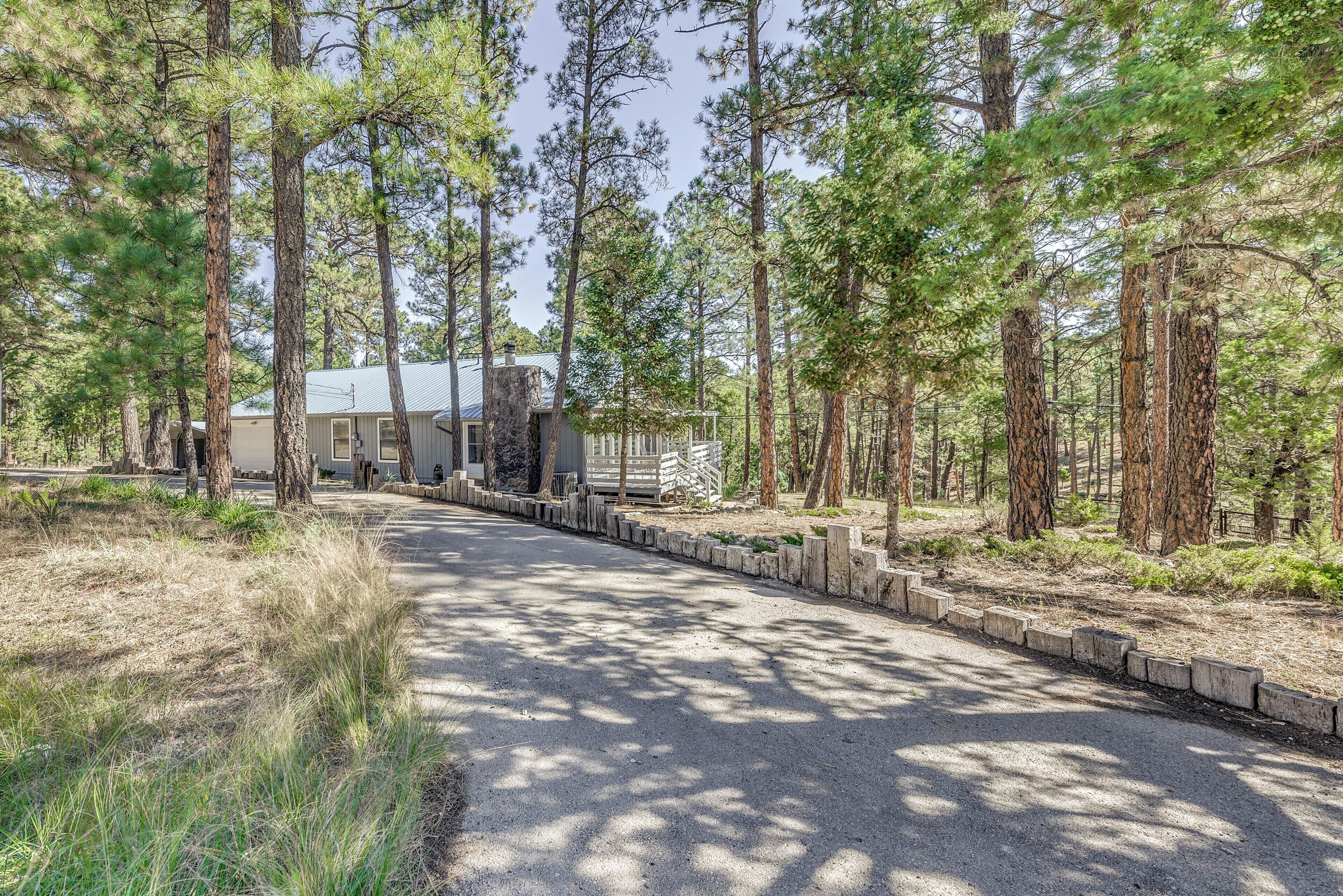 Um caminho de paralelepípedos leva a uma cabana rodeada por altas pinhas.