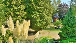 Um jardim tranquilo com lago, vegetação exuberante e um pequeno gazebo.