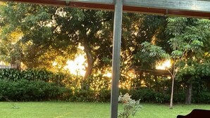 Uma área de pátio com uma mesa, uma cadeira e uma xícara de café.