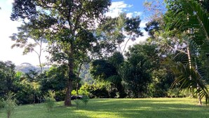 Um jardim exuberante com diversas árvores e um gramado bem cuidado.