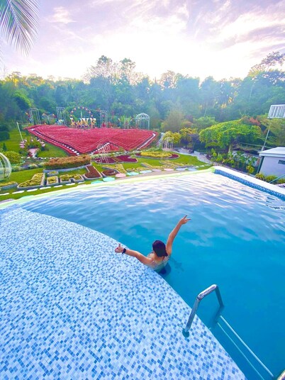Jardin De Ysabelle and Hobbiton Cafe