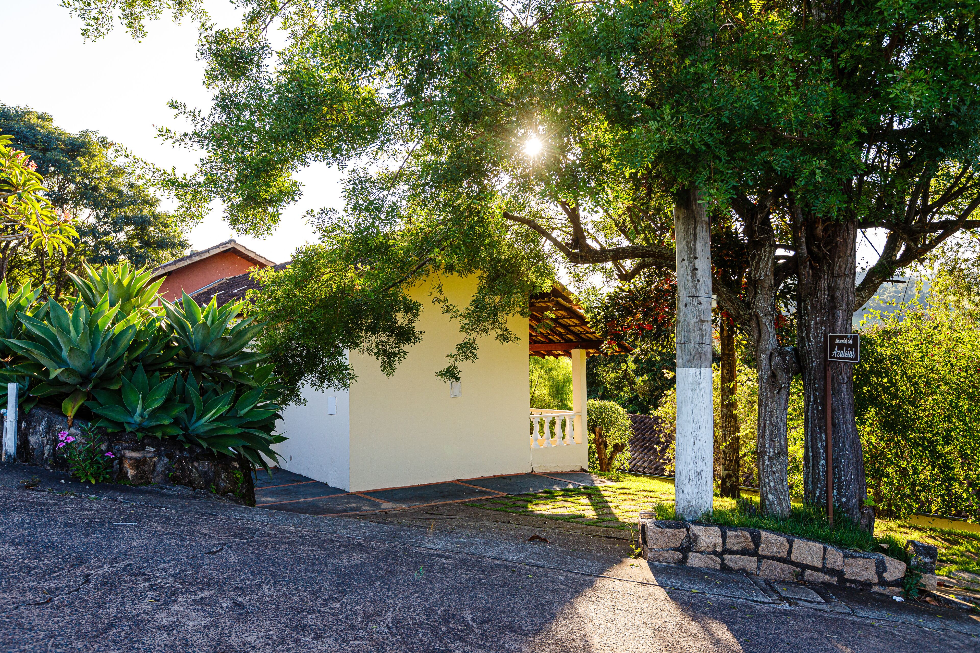 Uma casa com fachada amarela, cercada por vegetação exuberante e um caminho de pedra que leva à entrada.