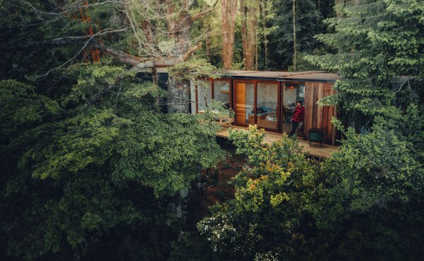 Roupas de cama premium, roupa de cama