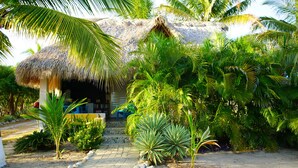 Uma cabana com telhado de palha cercada por vegetação tropical exuberante.