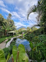 Piscina externa
