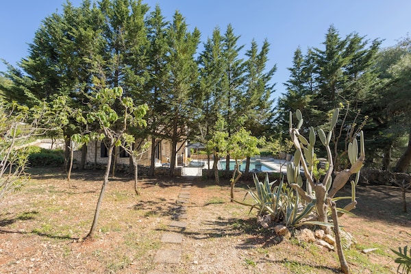 Aresti Mountain Resort - Zakynthos