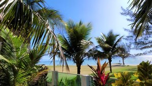 Um jardim tropical com palmeiras e diversas plantas, um caminho e vista para a praia.