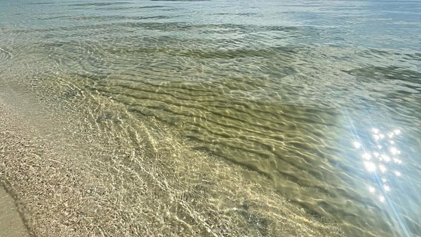 Uma praia calma com águas rasas, areal arenoso e uma linha de costa distante com pedras.