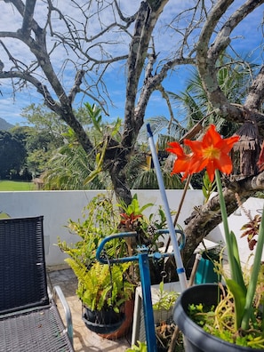 Terraço com espreguiçadeiras