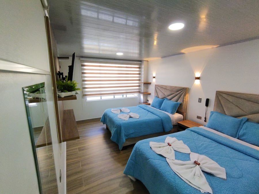 Quarto Deluxe, 2 camas de casal | 1 quarto, edredões de penas