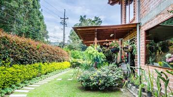 Um jardim com um caminho de pedra que leva a uma pérgula de madeira com plantas penduradas.