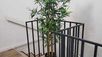 Entrada (vista interior)