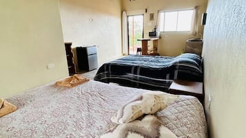 Secretária, quartos insonorizados, Wi-fi grátis