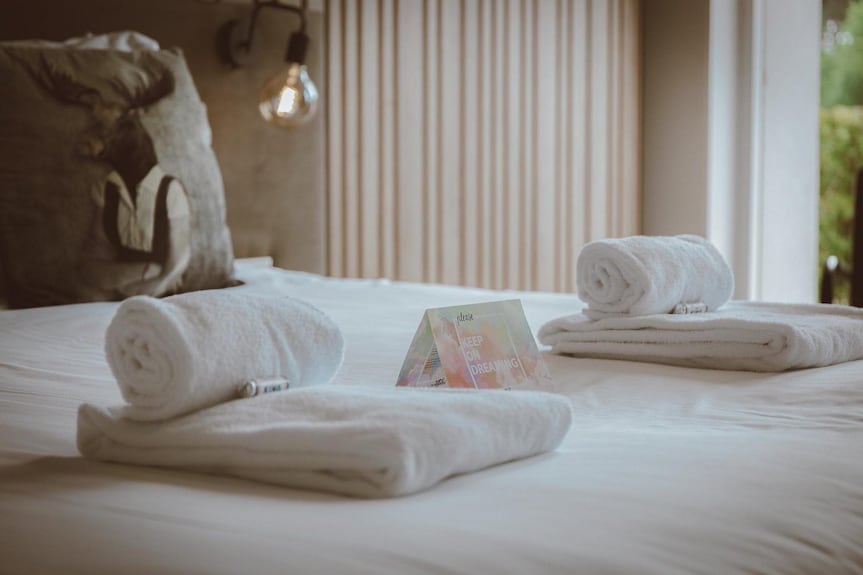 Luxurious 2-person Hotel Room At Recreatiepark De Boshoek, With Air Conditioning, Terrace, And Stunning Views, Located In The Heart Of The Veluwe. - Putten