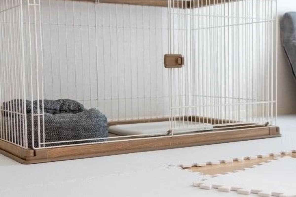 Gaiola para animais com base de madeira e parte superior em arame branco, contendo uma almofada cinza e um pequeno bloco de madeira.