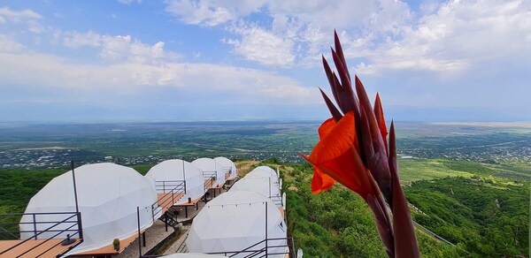 Signagi Glamping - Республика Дагестан