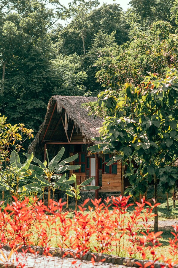 Magic Greeen Tayrona - Santa Marta