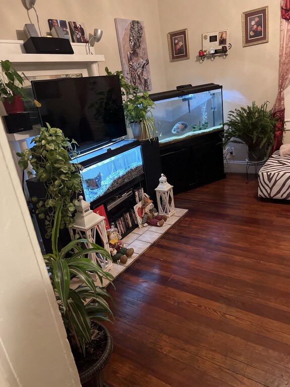 Historical Section Of Chesapeake. Propertie Nice And Groomed Quiet Neighborhood. - Chesapeake, VA