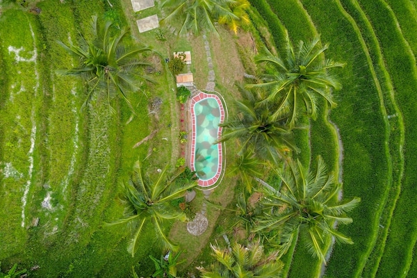 Pesona Bali Ecolodge - Bali