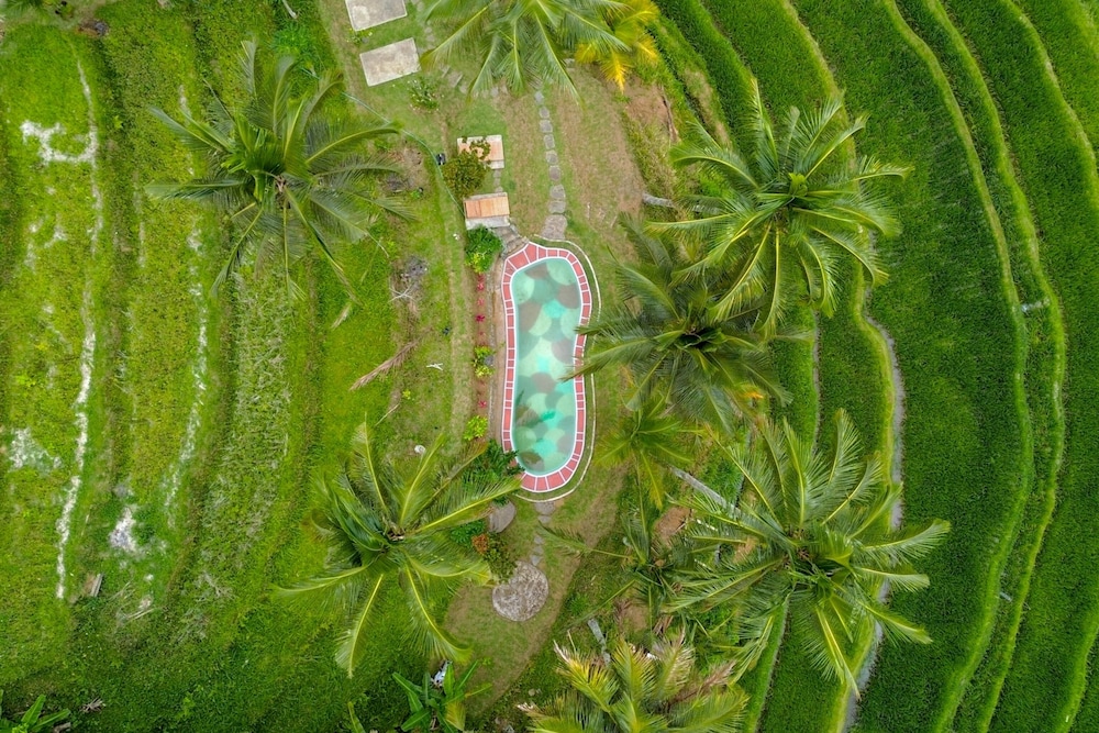 Pesona Bali Ecolodge - Bali