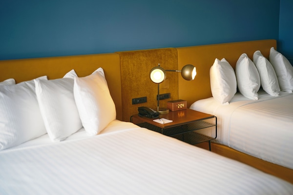 1 quarto, roupas de cama de algodão egípcio, roupas de cama premium