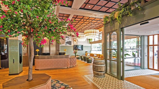 Um hall de entrada com um balcão de recepção, uma grande árvore com flores cor-de-rosa, piso de madeira e um tapete estampado.