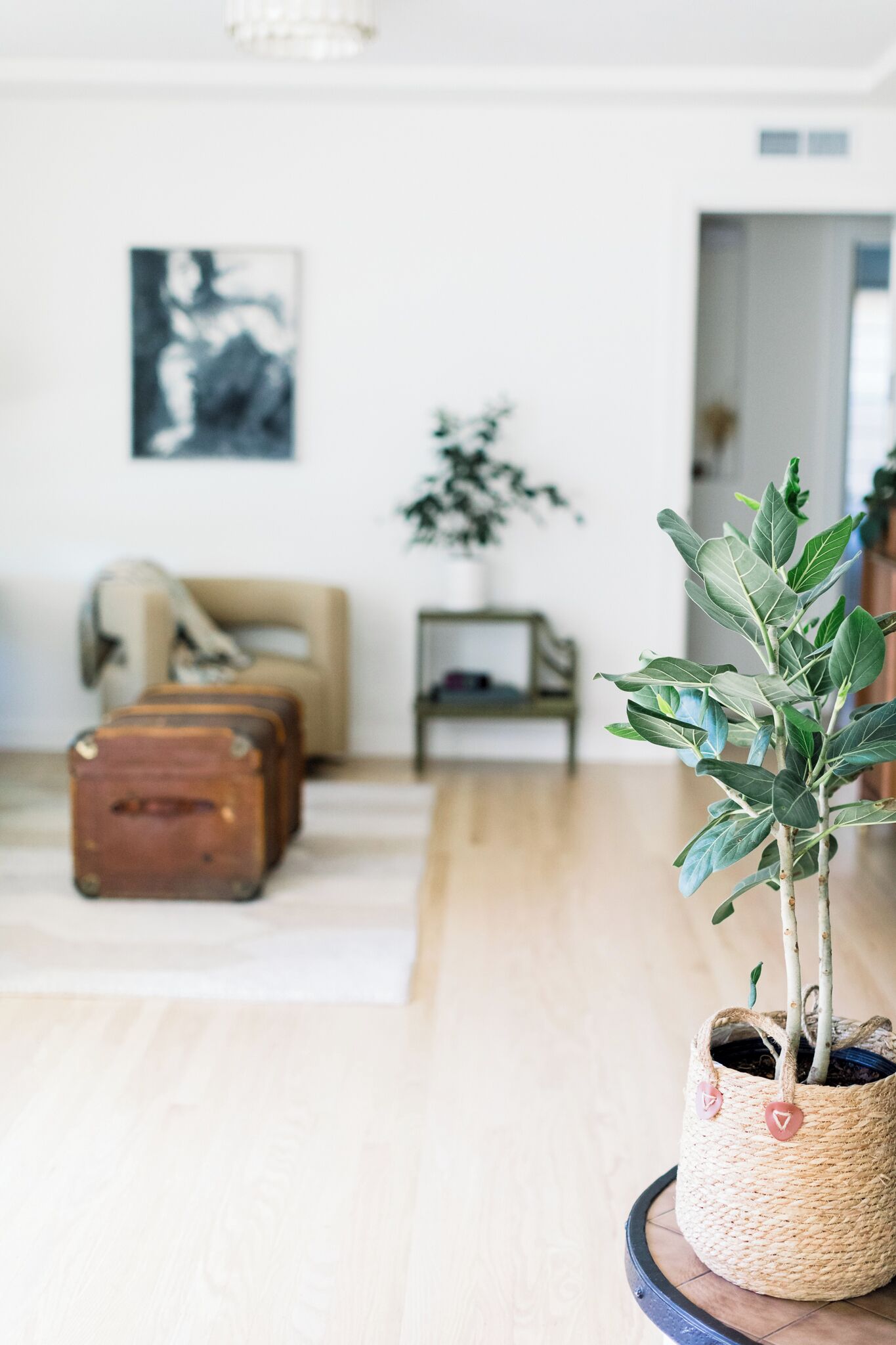 Sonoma Retro '49 Restored Cottage Offers Wine Country Luxe And Ideal Convenience - Petaluma, CA