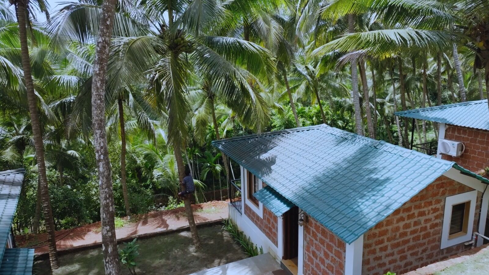 Um pequeno edifício de tijolo com telhado verde, rodeado por palmeiras e um espelho de água.