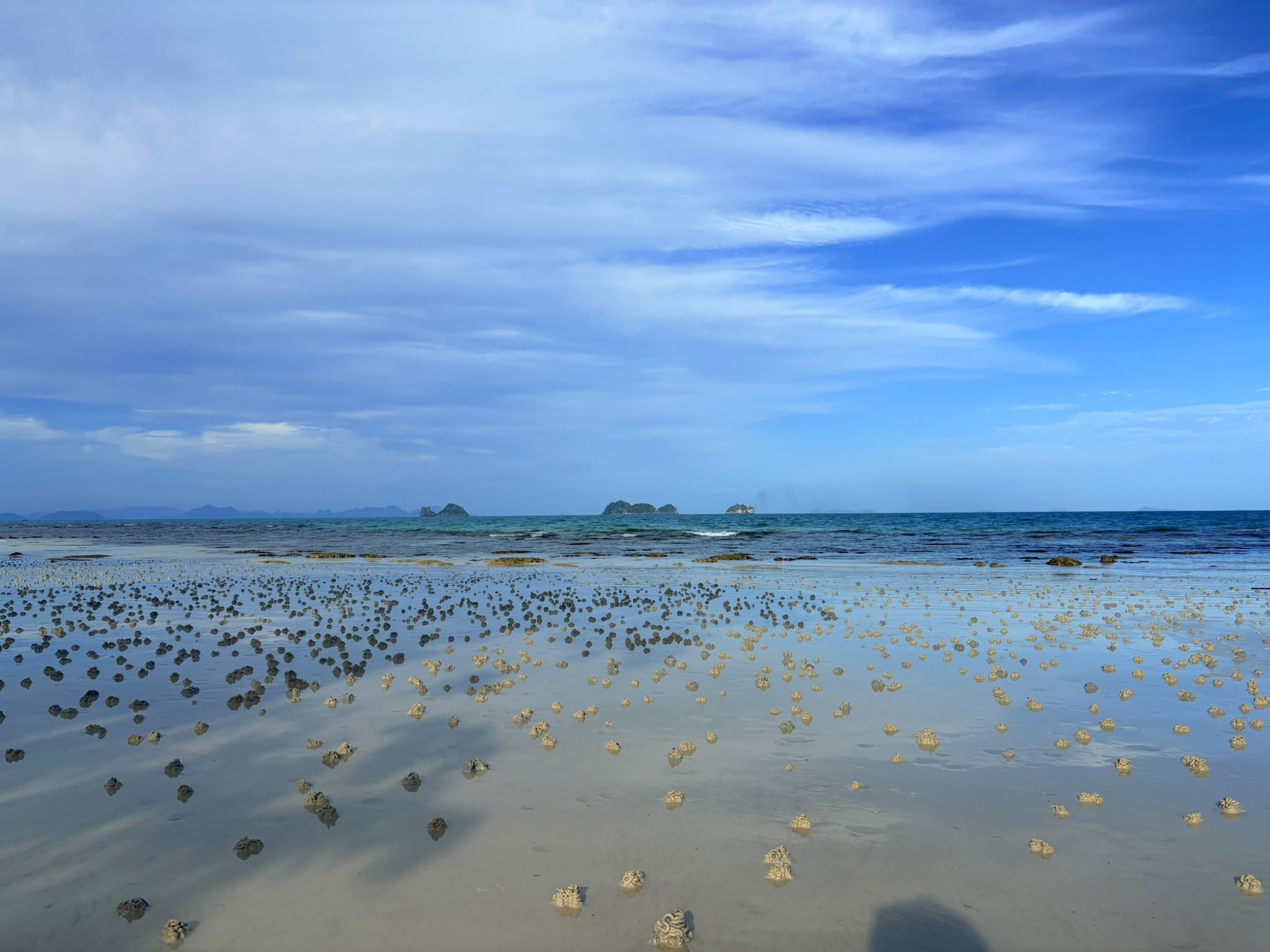 Uma praia com conchas espalhadas e águas calmas.