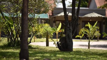 Vista para o jardim