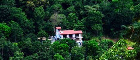 Vista para a montanha