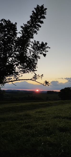 Vista da propriedade