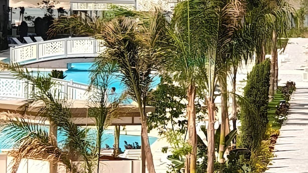 Área da piscina com vista para o oceano, cercada por palmeiras e um muro branco.