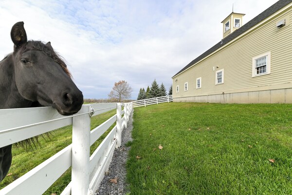 Unique Finger Lakes Converted Horse Barn W/ Patio! - Finger Lakes, NY