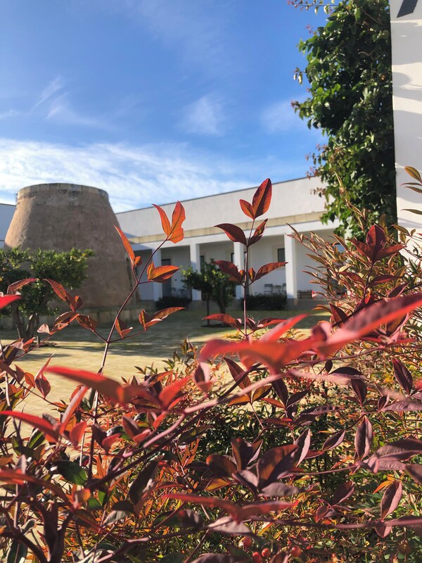 Masseria Rifisa Agriresort - Provincia di Lecce