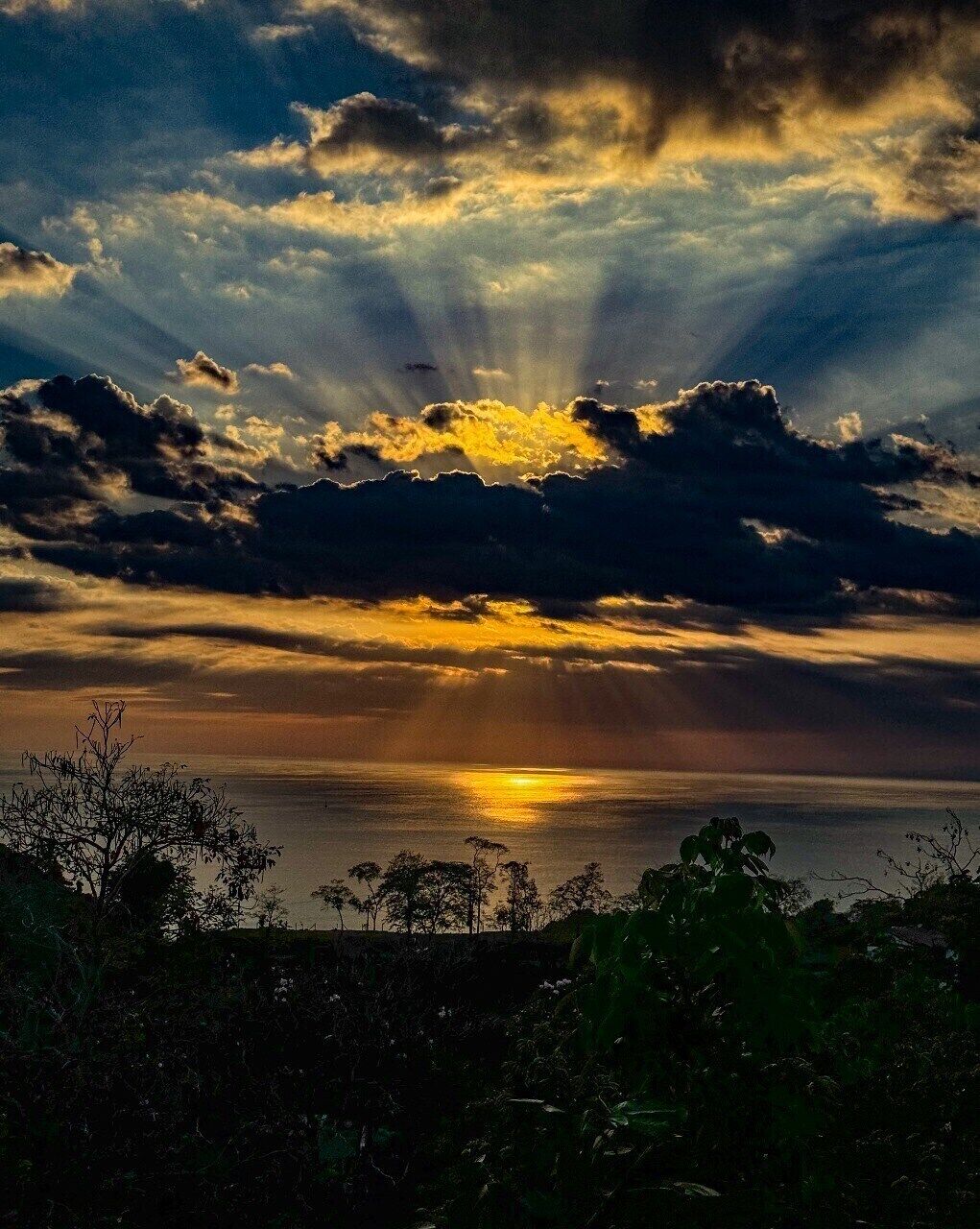 Pôr do sol sobre a água, com nuvens e vegetação em primeiro plano.
