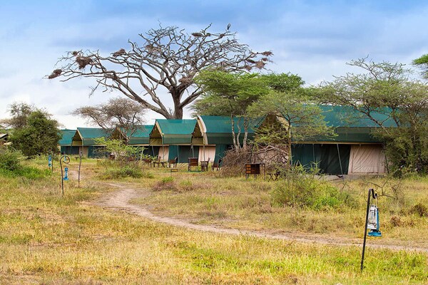 Anmut - Dar es Salam