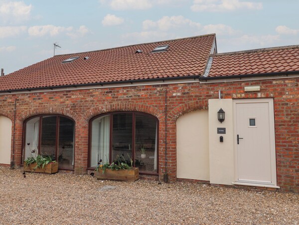 Razorbill - Flamborough