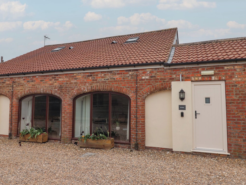 Razorbill - Flamborough