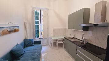 Suite de Luxo, 1 cama de casal e sofá-cama, não fumadores | Cozinha privada | Minifrigorífico, uma máquina de café expresso, uma cafeteira/bule