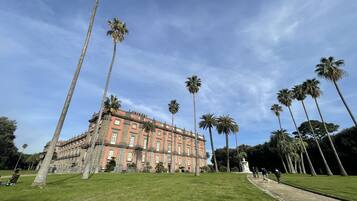 Um edifício grande e histórico com fachada simétrica, rodeado por um gramado bem cuidado e altas palmeiras.