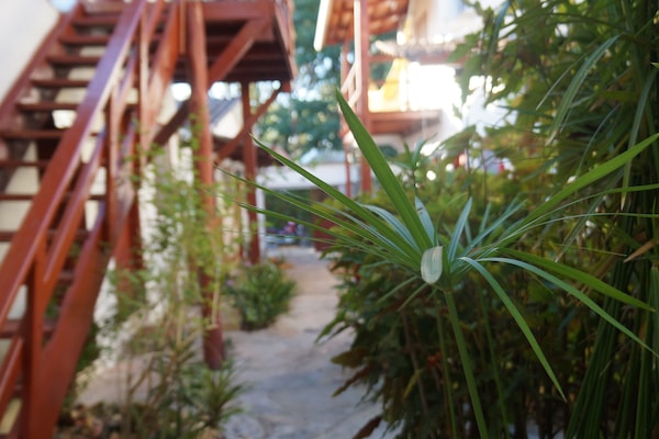 Vista para o jardim
