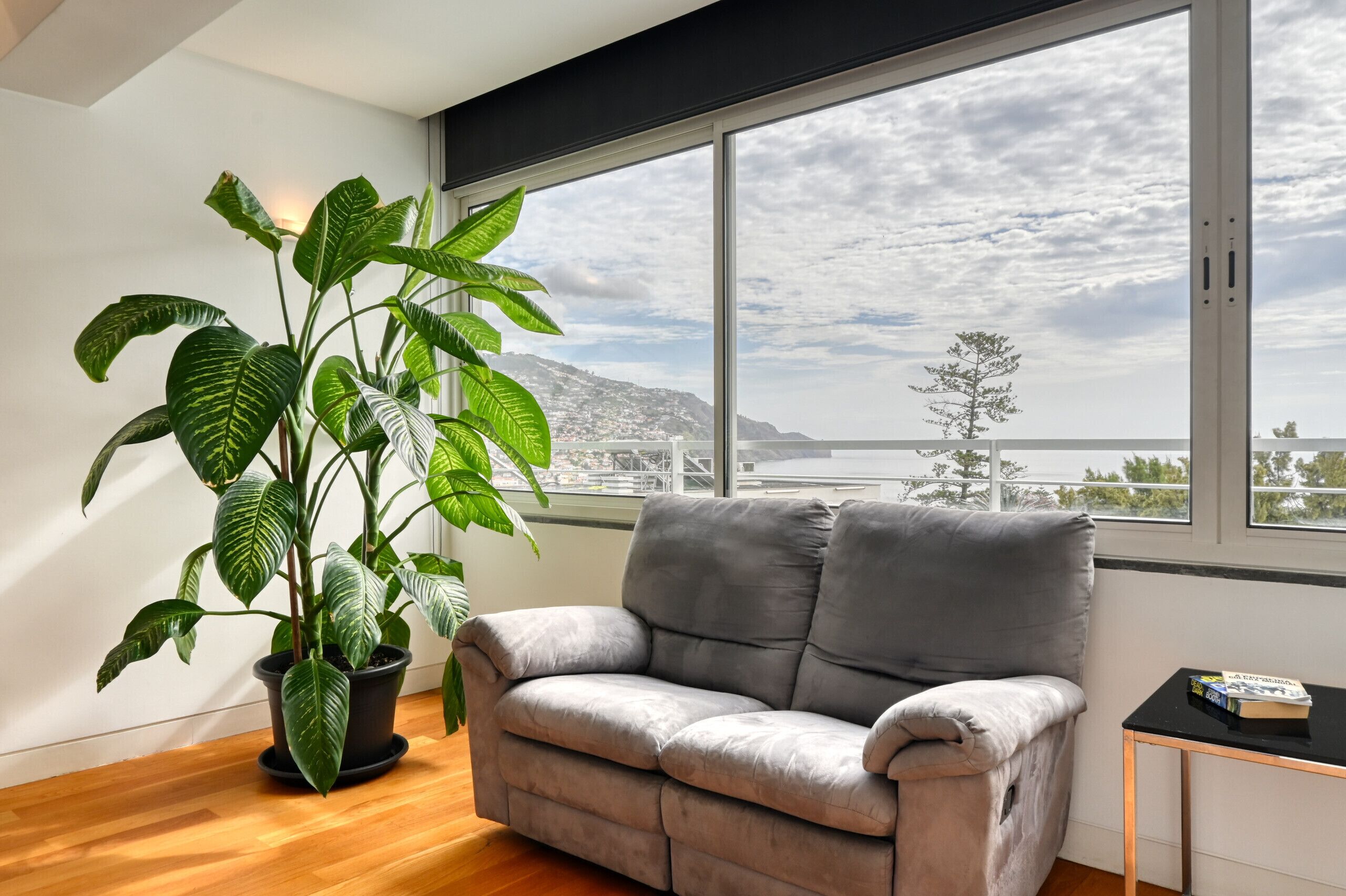 Jasmineiro, A Home In Madeira - Funchal