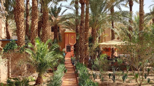 Riad Le Petit Jardin - Zagora