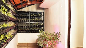 Quarto standard | Vista do quarto