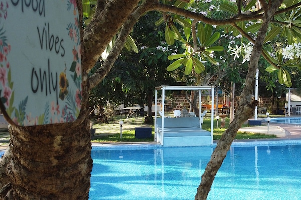 Piscina externa