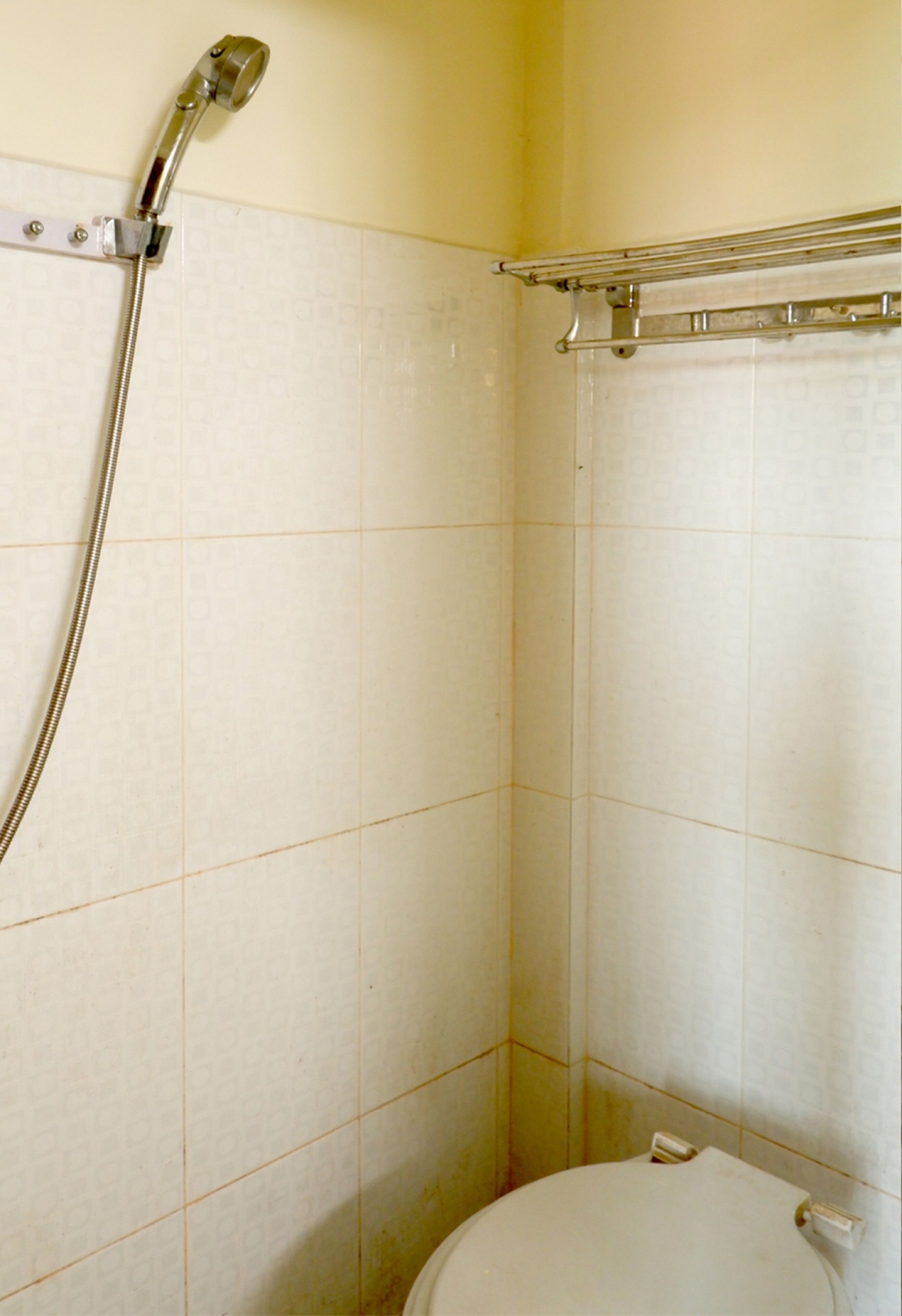 Uma casa de banho pequena com azulejos, um chuveiro, uma sanita e um porta-toalhas.