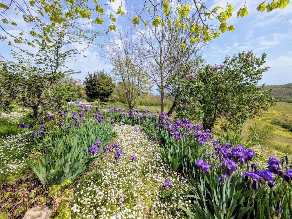 Agriturismo Casa Greppo - Il Melograno - Umbria