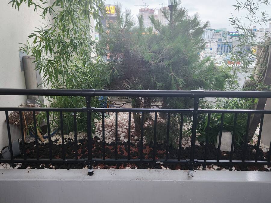 Uma varanda com grades de metal, plantas em vasos e vista para edifícios e guindastes de construção ao fundo.